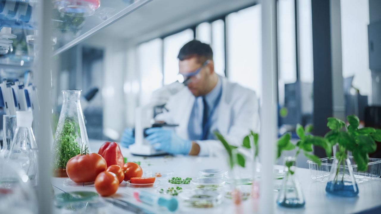 Chemikalien in Lebensmitteln