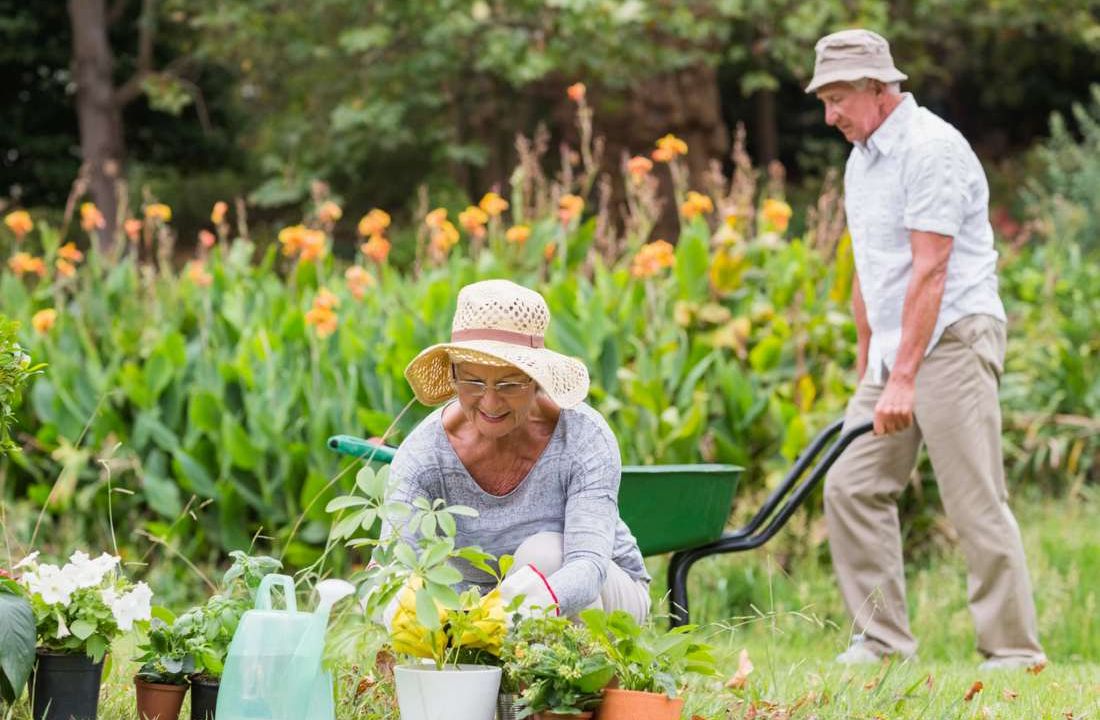 Longevity - Gesund bis ins hohe Alter